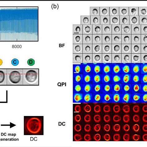 Kevin Tsia Professor Full Phd In Electrical Engineering The University Of Hong Kong