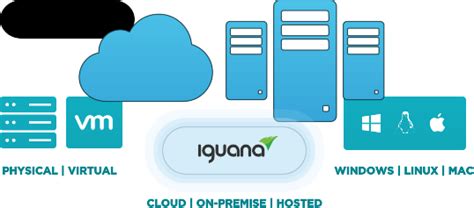 Iguana Integration Engine For Healthcare Interoperability Interfaceware