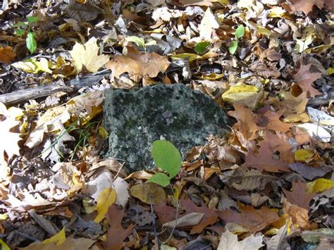 Lilly Dyer Cemetery Ohio Exploration Society