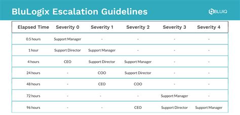 Severity And Escalation Guidelines For Blulogix
