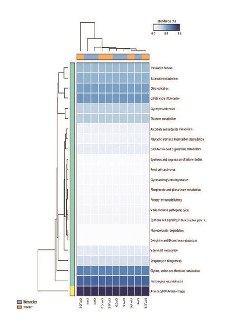 Heatmap Profile Of Predicted Functions Of Identified Bacterial Species