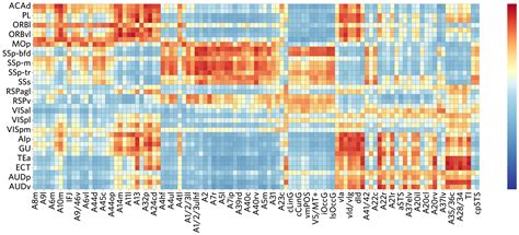 Analyzing Cross Species Similarity Of Transcriptional Embeddings — Transbrain 01 Documentation