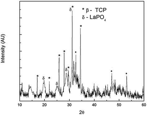 Xrd Pattern Of The Sintered 50 Tcp 50 Lap Sample Download Scientific