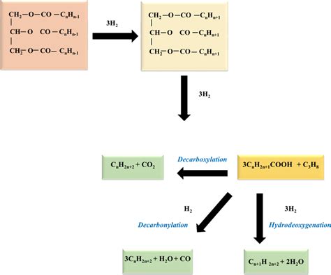 Hydro Conversion Of A Triglyceride Download Scientific Diagram
