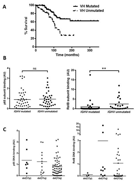 Unmutated Ighv Is Associated With Increased Relb Activation A Download Scientific Diagram
