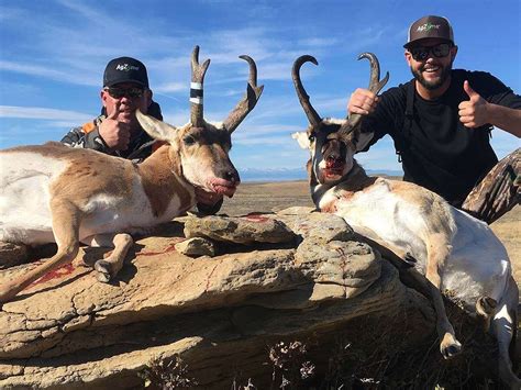 Shell Valley Outfitters Actualizado 2026 Qué Saber Antes De Ir Con