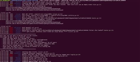 not able to make an interaction between two pc s using ipfs cluster