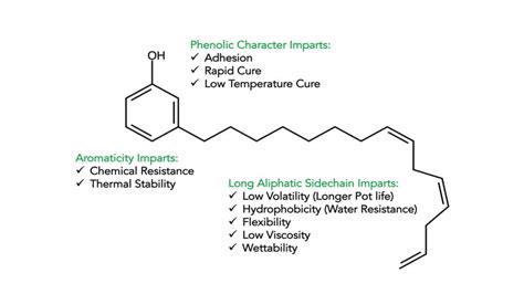 Cashew Nut Shells To Phenalkamines Nspc Insights
