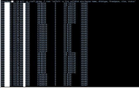 Storage Server Or Cell Server In Oracle Exadata 6 It Tutorial