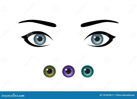 Beautiful Woman S Eyes And Realistic Irises Of Different Colors Stock Vector Illustration Of
