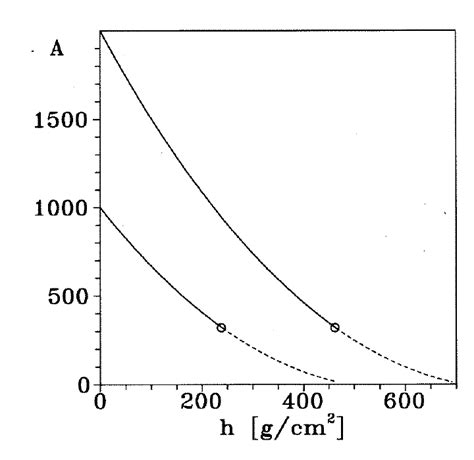 An Example Of The Predicted Decrease Of The Actual Size Of The