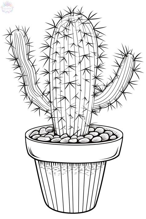 Desenho De Cacto Para Colorir Nazaedu