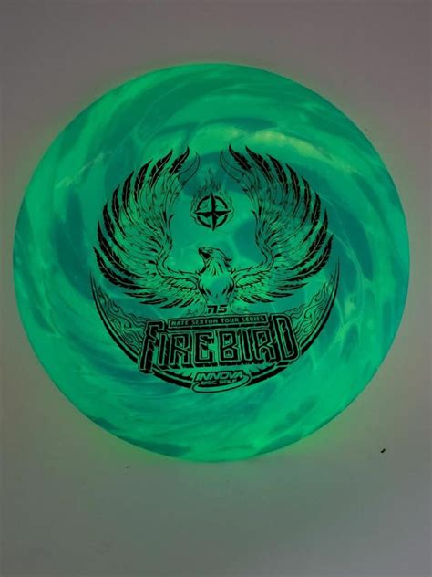 Showing Off My Sexy Bird Dye Rdiscdyeing