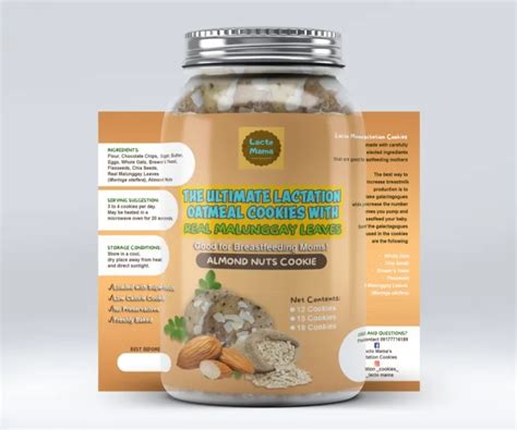 Lactation Oatmeal Cookies By Lacto Mama Choco Chip With Almond Nuts Variant Jar Of 15s
