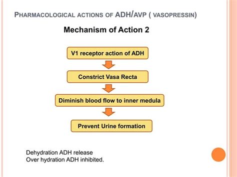 Anti Diuretics Drugs Pptx Endocrine And Metabolic Diseases