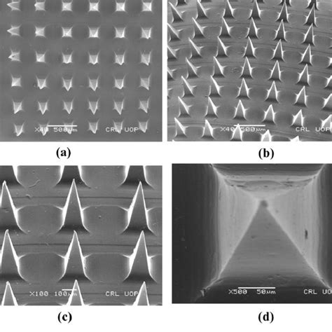 Ftir Peaks And Corresponding Functional Groups Download Scientific Diagram