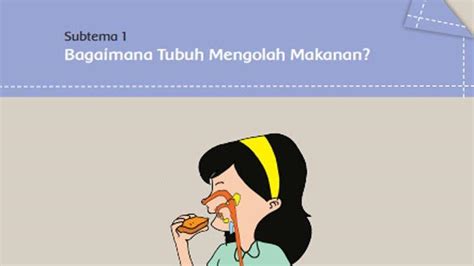 KUNCI JAWABAN Tema Kelas Halaman Subtema Pembelajaran Makanan