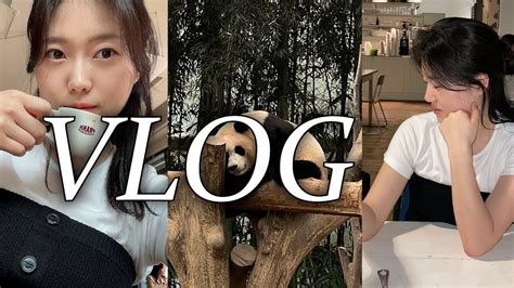 직장인 브이로그 애버랜드 브이로그 주말 애버랜드는요 푸바오보러가기 대전맛집 뿌시기 대전 버거 대전 에스프레소바 김신문 24시간을 44