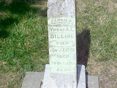 Sarah Ann Campbell Dilling 1810 1896 Homenaje De Find A Grave