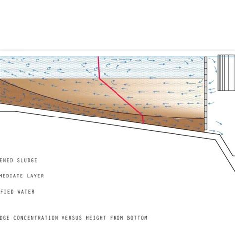 The Hydrodynamic Field Represented By The Arrows And The Sludge