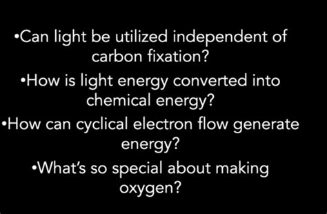 Lecture 8 Photosynthesis Flashcards Quizlet