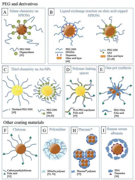 Hybrid Core Shell Nanosystems Based On Spions Or Au Nps A E