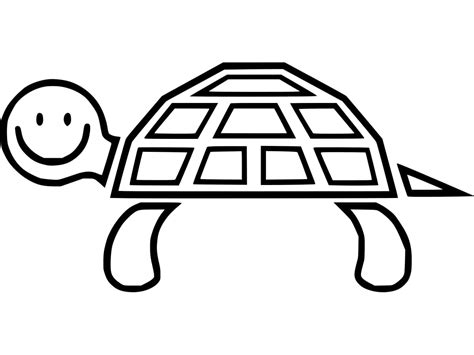 Tortoise Coloring Pages Coloringlib