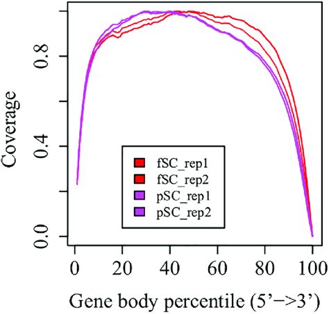 Gene Body Coverage Analysis Of Rna Seq Libraries From Pscs And Fscs Two