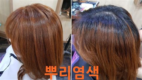새로자란머리 뿌리염색 Youtube