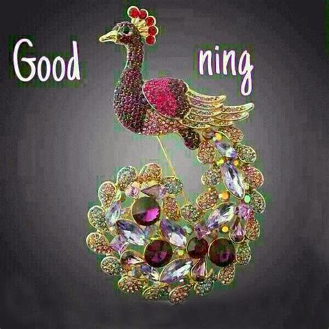Good Morning Peacock Good Morning Wishes And Images