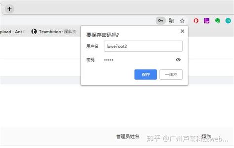 解决浏览器保存密码自动填充问题 知乎