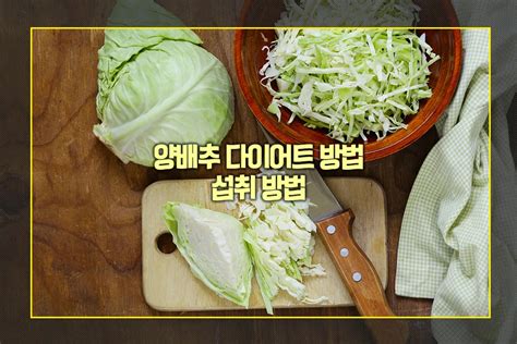 양배추 다이어트 방법 및 섭취 방법 레시피