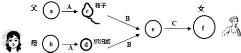 在一定的地域内 生物生物和环境环境所组成的统一的整体 叫做生态系统．地球上的生态系统类型是极其复杂多样的．生物圈生物圈是地球上最大的生态系统