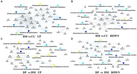 Ppi Network Analysis A Ppi Pathway Gene Network Between Dm Group And Download Scientific