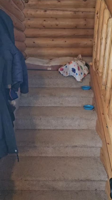 Noah Brown Noah Dc Brown • Instagram Photos And Videos