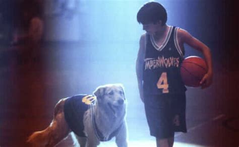 Fact Checking Air Bud Modern Farmer