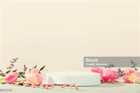 분홍색 배경에 추상적인 빈 흰색 연단 제품 프리젠테이션을 위한 스탠드를 조롱합니다 3d 렌더링 최소한의 개념입니다 광고 템플릿 강단에 대한 스톡 사진 및 기타 이미지