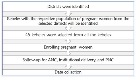 Schematic Display Of The Sampling Procedure 2020 Download Scientific Diagram