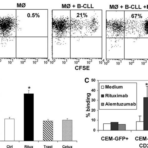 Role Of Fcrs And Cd16a Polymorphism A Expression Of Cd16 Cd32 And