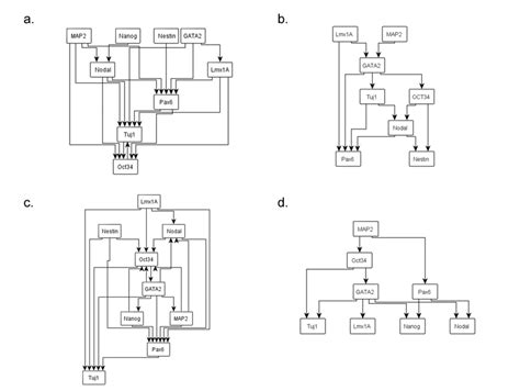 Initial Network Models The Initial Models Of The Selected Chemicals Download Scientific Diagram