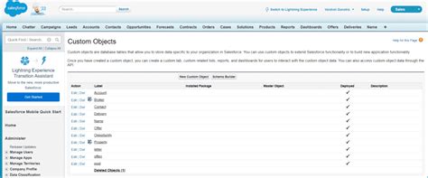how to delete custom objects in salesforce salesforce faqs