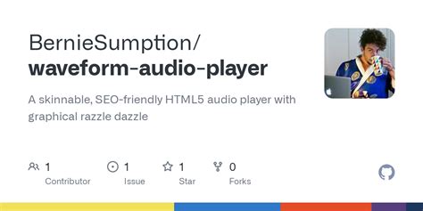 Github Berniesumptionwaveform Audio Player A Skinnable Seo Friendly Html5 Audio Player With