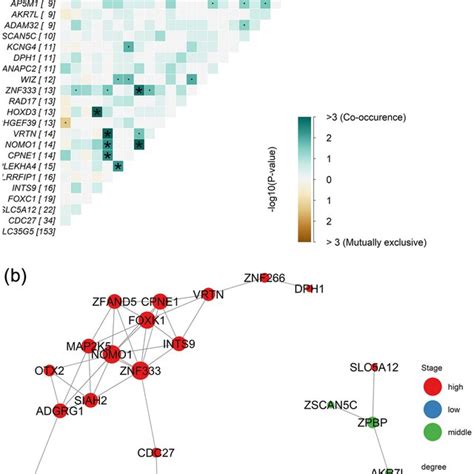Genetic Interaction Analysis A Co Occurring And Mutually Exclusive Gene Download Scientific