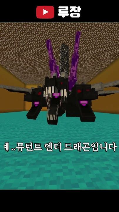 뮤턴트 위더 Vs 뮤턴트 엔더 드래곤 Youtube