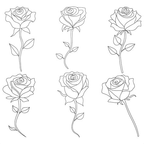 Premium Vector Continuous One Line Rose Outline Vector Art Drawing