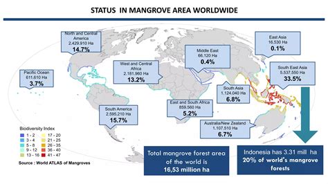 Integrated Opened And Participatory Mangrove Ecosystem Management Strategy Ppt