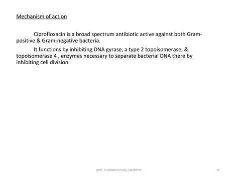 Rational Enzyme Design Ppt