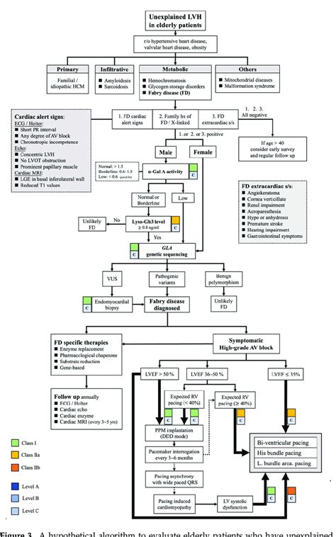 A Hypothetical Algorithm To Evaluate Elderly Patients Who Have
