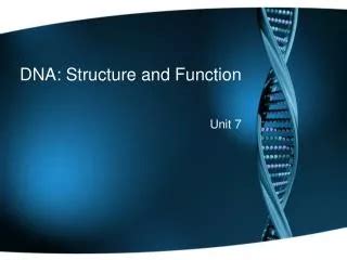 PPT DNA Structure And Function PowerPoint Presentation Free Download ID
