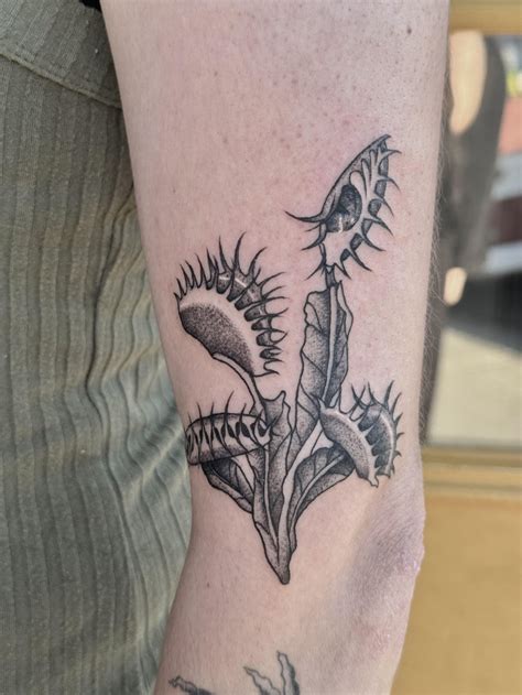 Manda Gallery Discover Unique Tattoos Today — Rice Street Tattoo